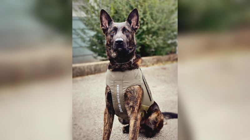 Eky Police K9 Receives Body Armor Donation In Honor Of Fellow Four