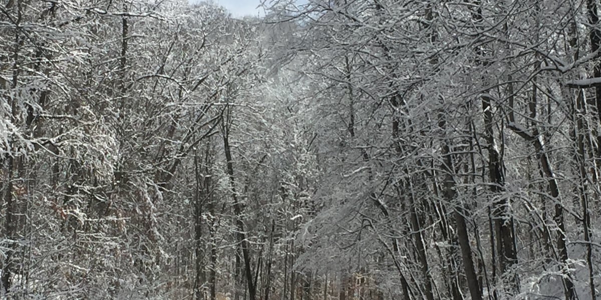 Downed power lines and trees cause problems on Jackson County roads Downed power lines and trees cause problems on Jackson County roads